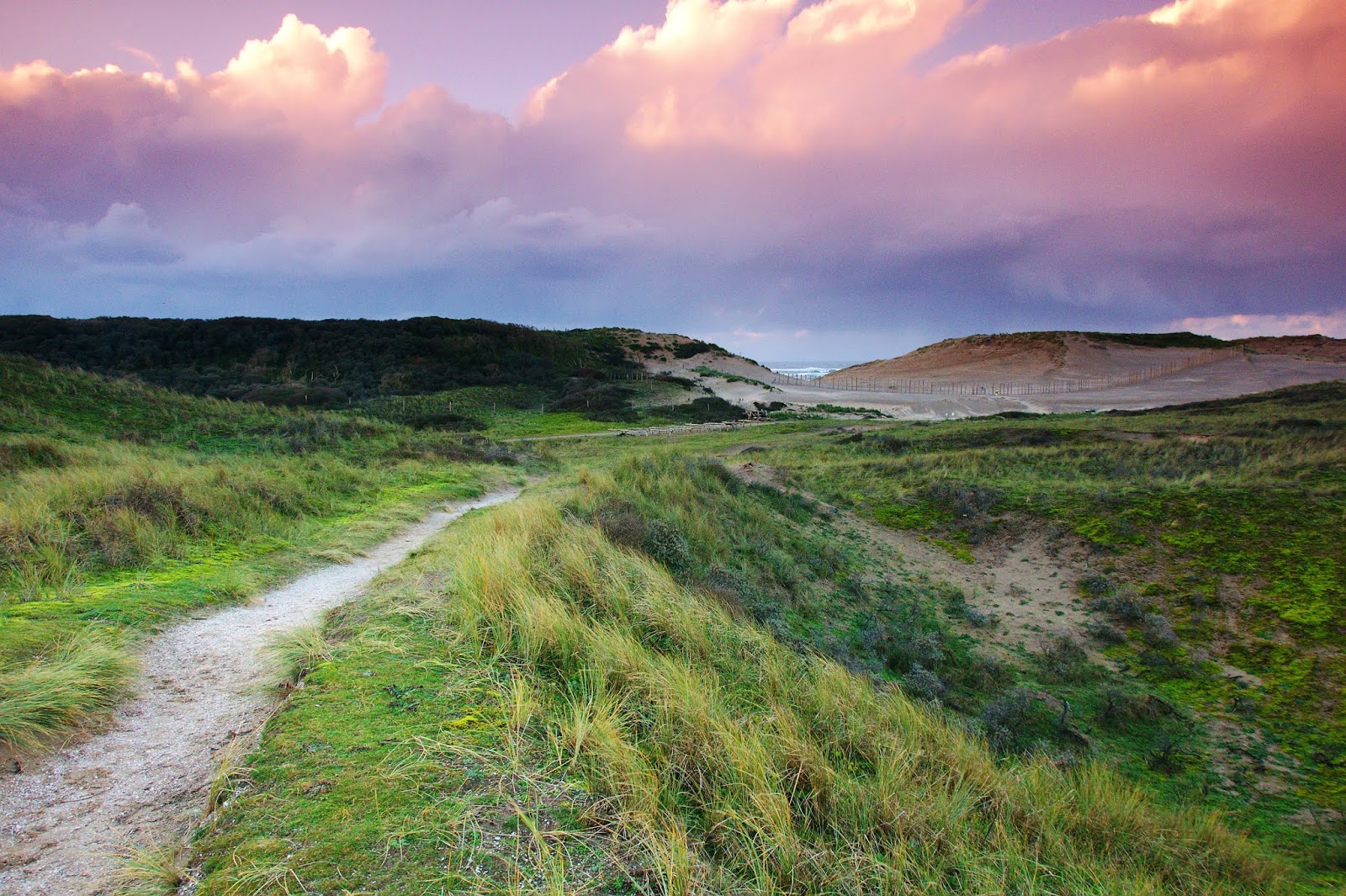 Fieggentrio: Nationaal Park Zuid-Kennemerland – Noord-Holland