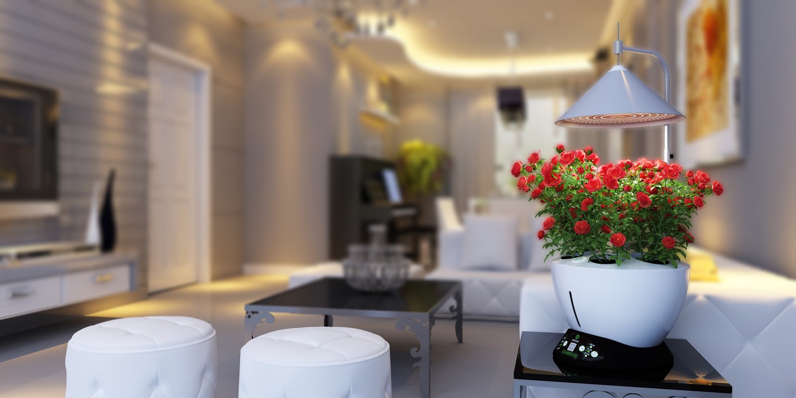 Igrow Hydroponics: We all want Green in our house