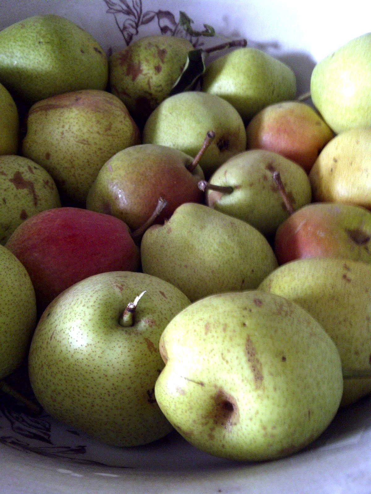 ~ The Feathered Nest ~: Looking for beauty...