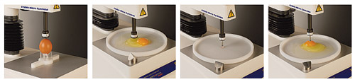 Texture Analysis Professionals Blog: Cracking Egg Quality Assurance