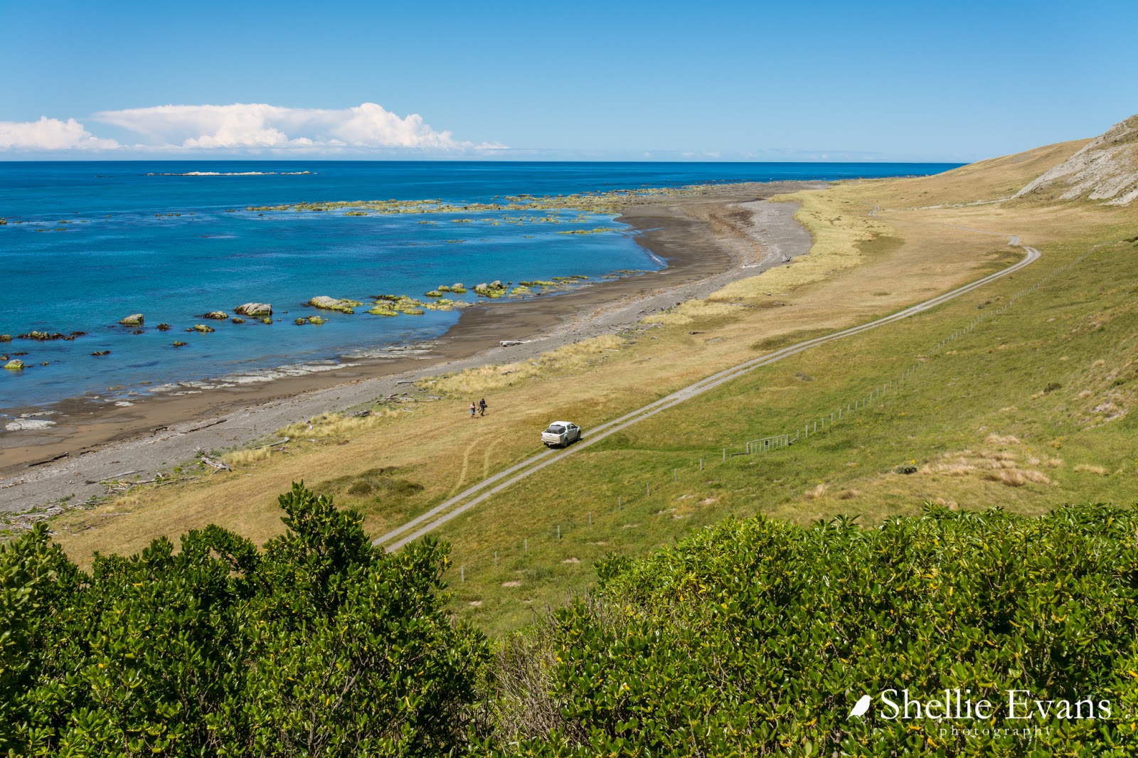 Two Go Tiki Touring: A Walking Adventure to Cape Campbell