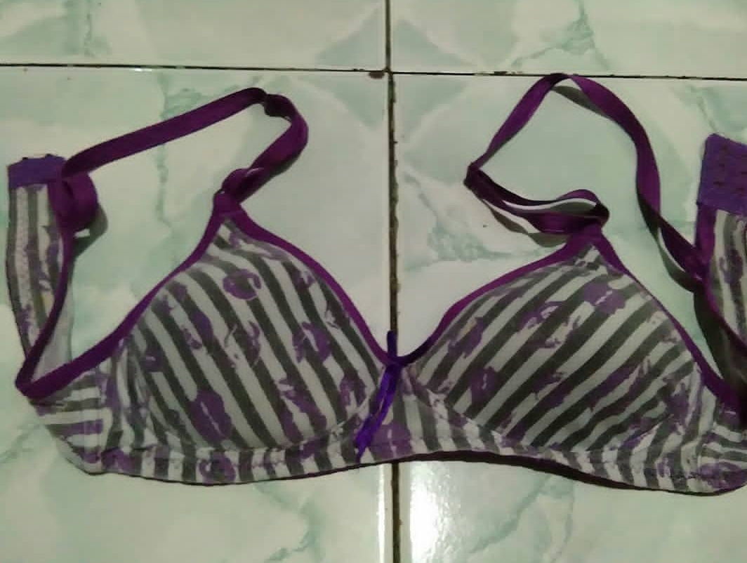 Used Bra picturese