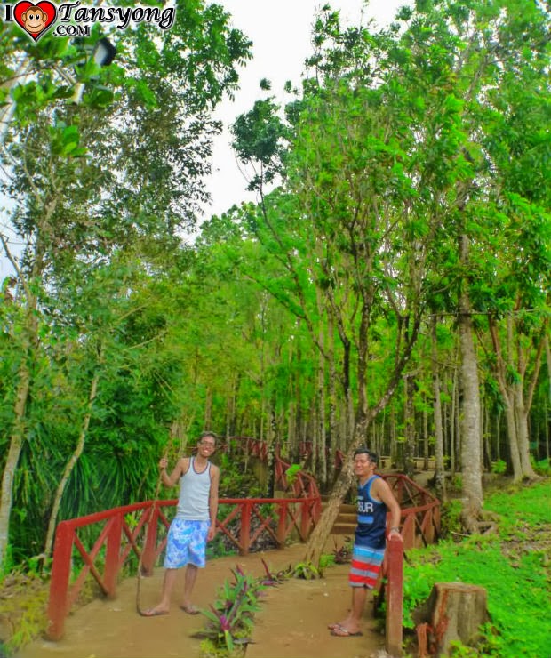 What to Expect in Ermita Hill in Baler Aurora? - I ♥ Tansyong™
