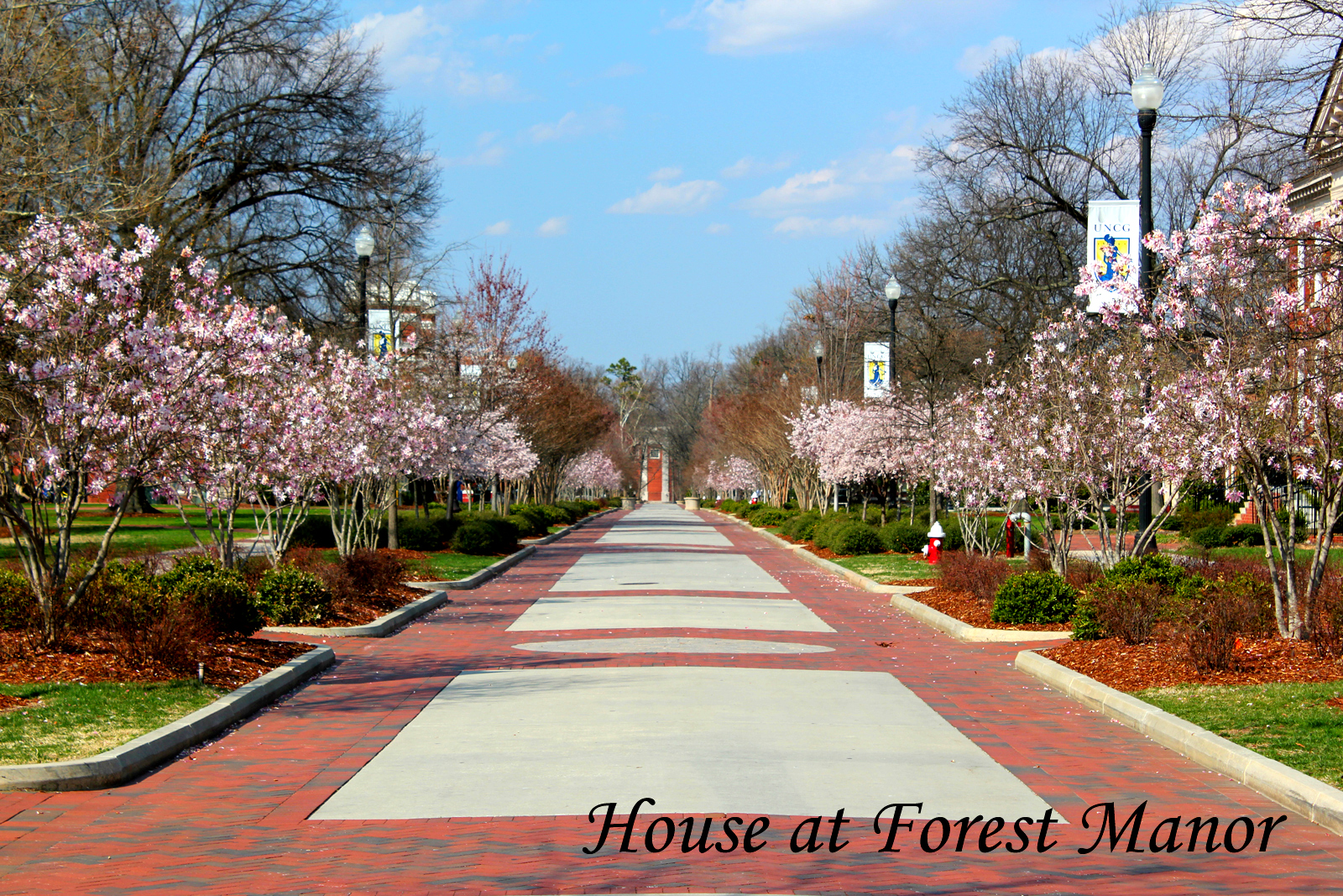 House at Forest Manor: A Beautiful Spring Campus