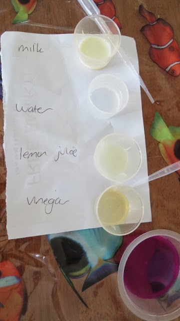 Be Our Best: Purple Cabbage pH Science Experiment