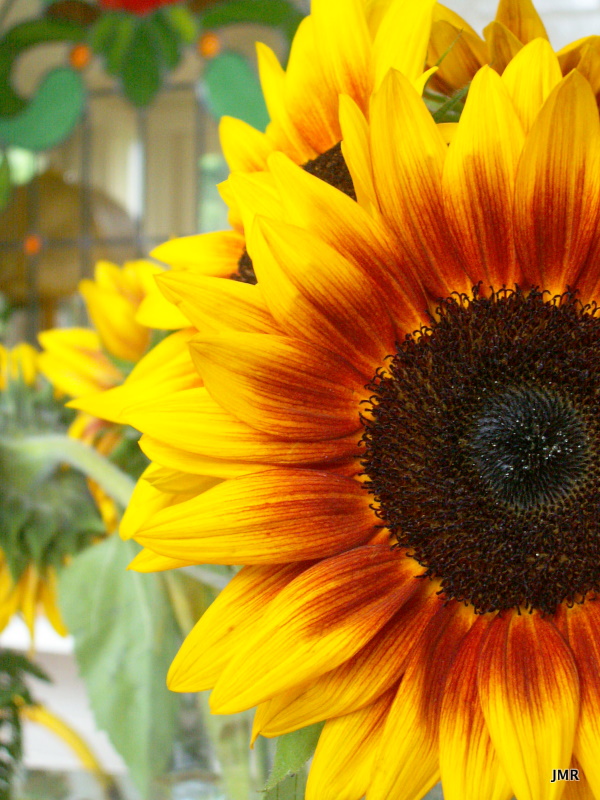 THE VILLAGE VOICE: SEPTEMBER SUNFLOWERS/SUNSETS ~ AUTUMN HARVEST SOUP