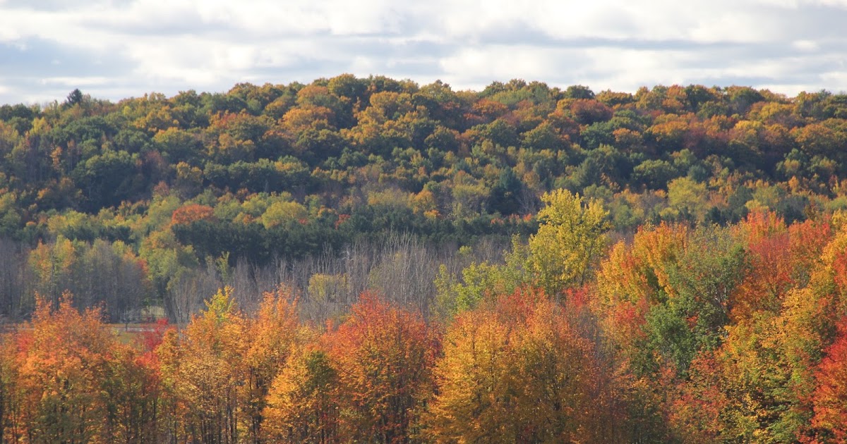 Isabella Conservation District Environmental Education Program: Fall ...
