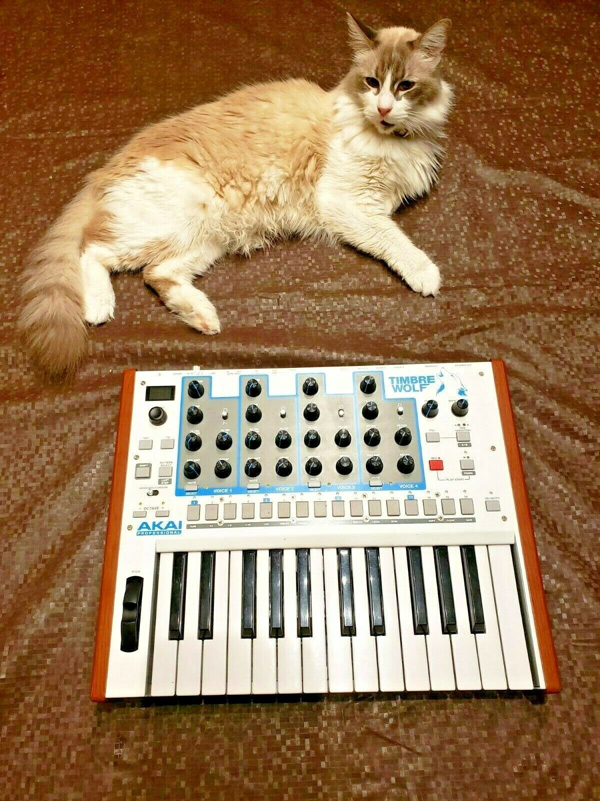 MATRIXSYNTH: AKAI TMBRE WOLF ANALOG SYNTH