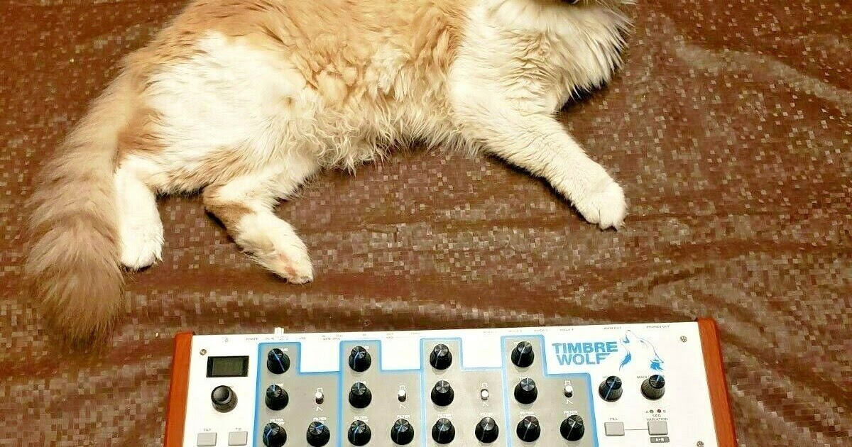 MATRIXSYNTH: AKAI TMBRE WOLF ANALOG SYNTH