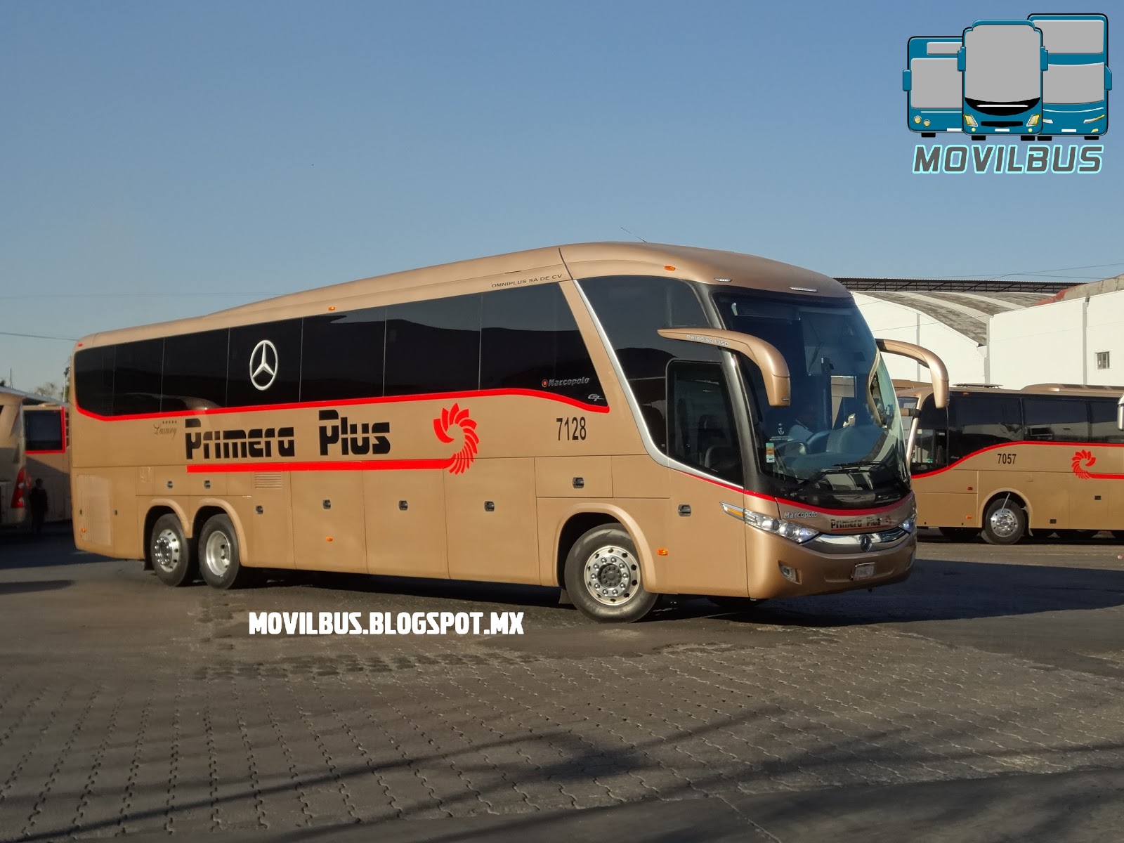 89 fotografías de la flota de Primera Plus a lo largo de 10 años.