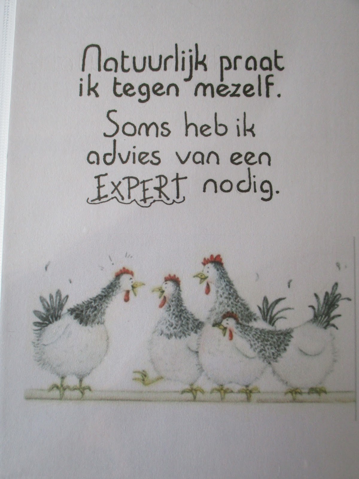 Kolder op zolder: Handletteren en humor