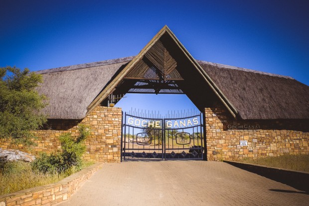 GocheGanas - The Experience