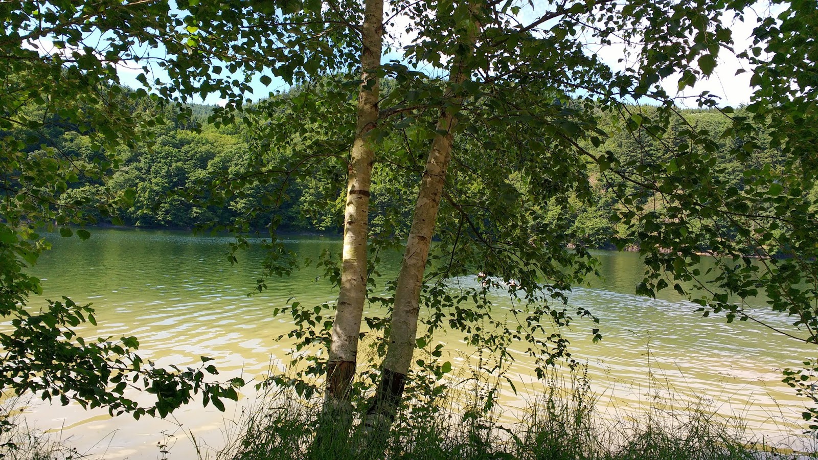 Corina Moscovich: Déi wichtegst fester, bräich an traditiounen zu ...