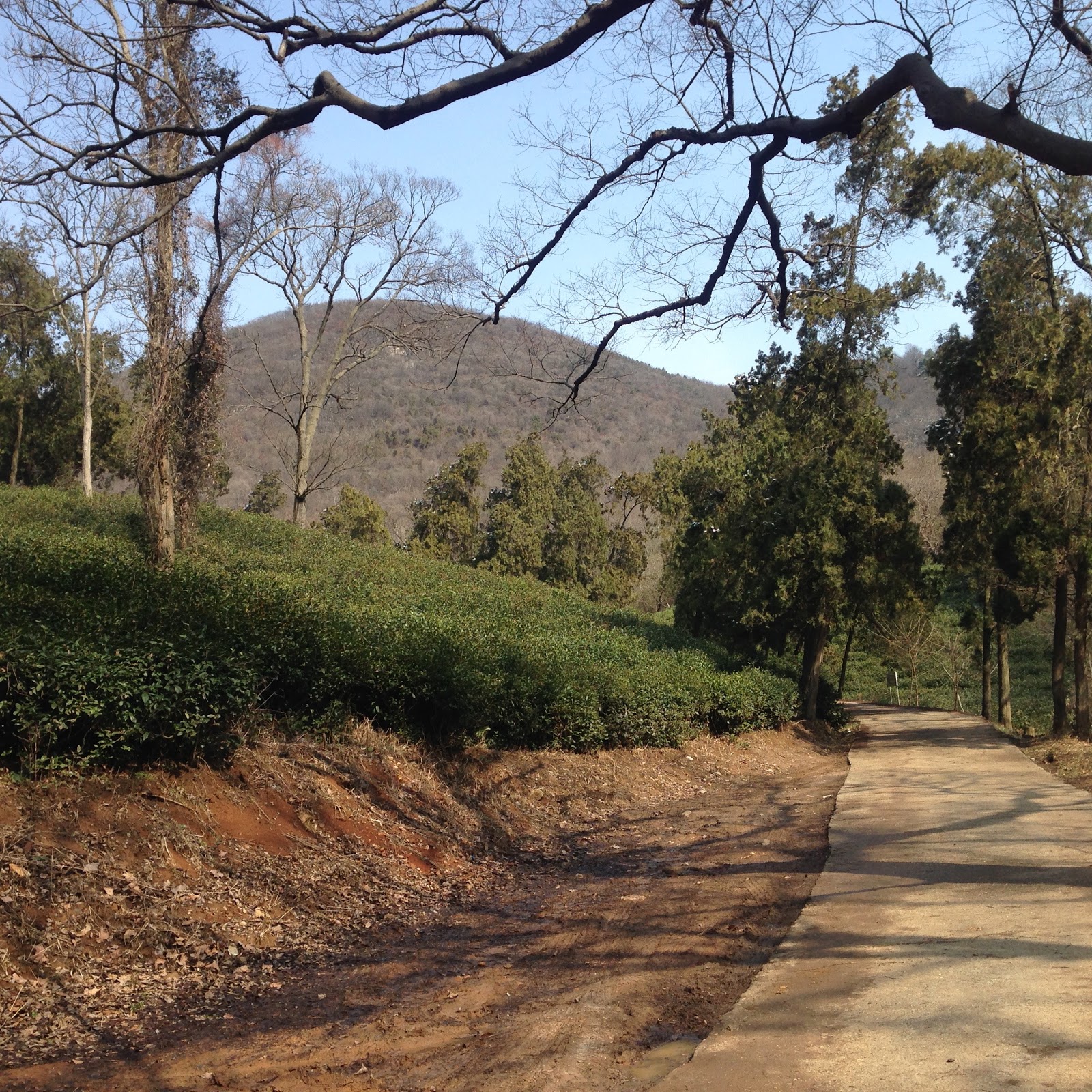 Lion Ridge Temple Trip