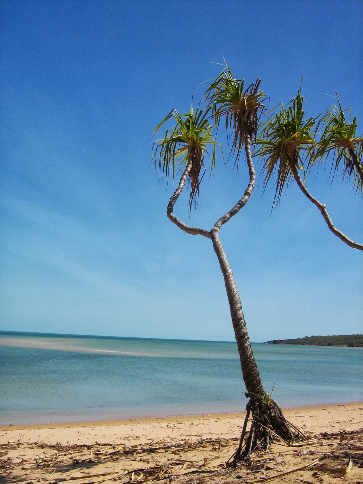 RJP BOF: Galiwinku to Goulburn Islands