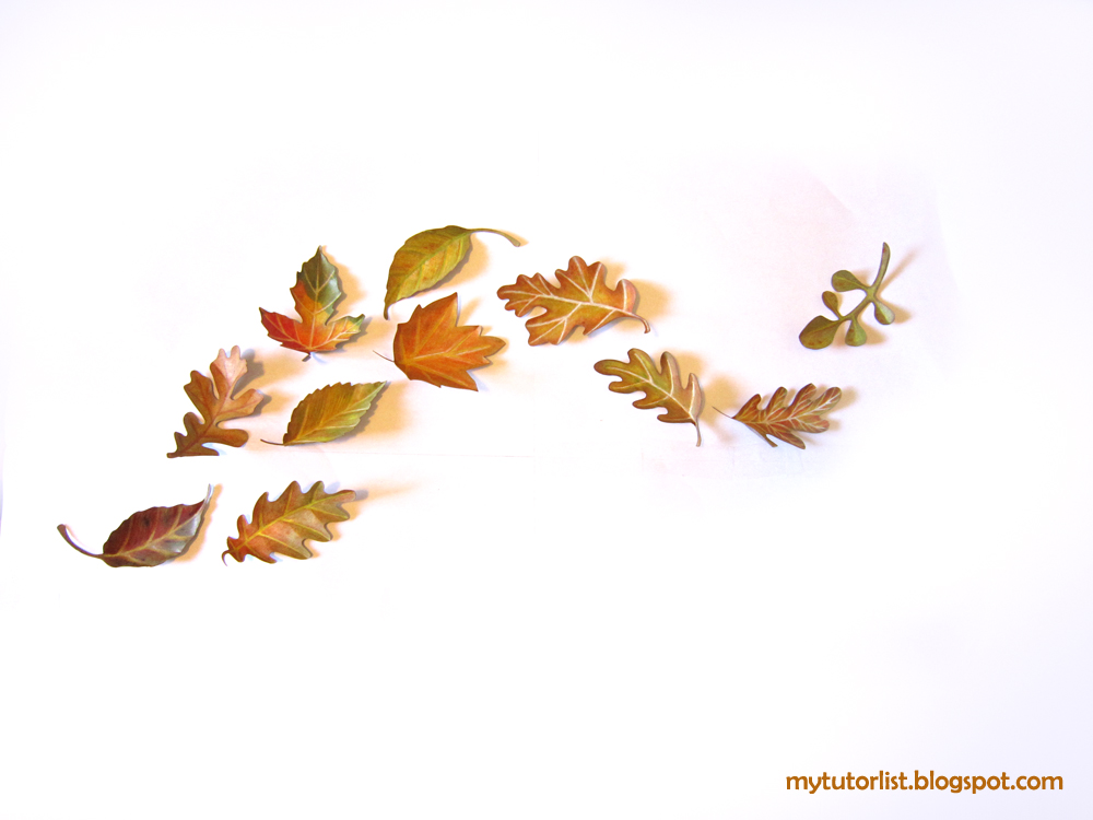 Leaf Wall Art Decor Idea : Behind Mytutorlist.com