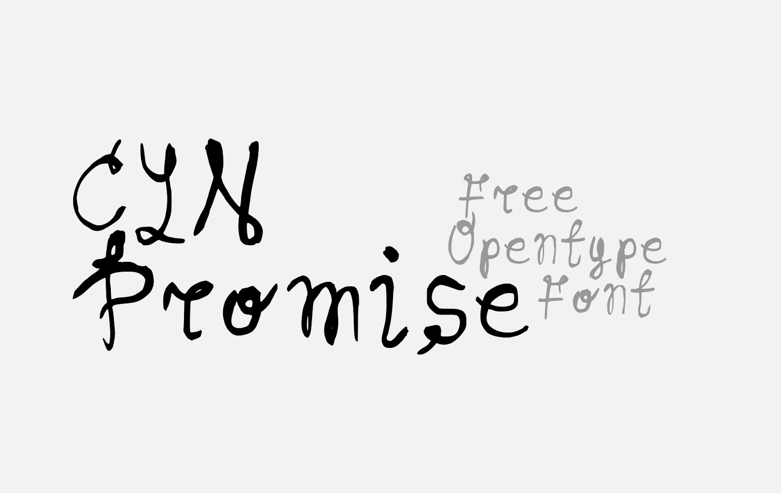 CYN Promise #Illustrated, Hand-written Opentype #Calligraphy #Typeface