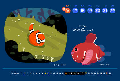 うおろぐ2: 今週の「幼魚図鑑」10/16〜
