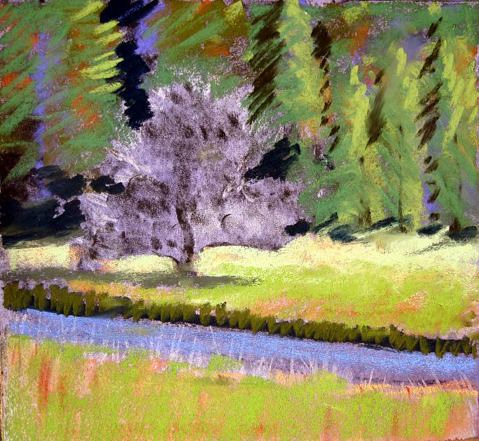 Deborah Secor: Today's Art Class: Evergreen Trees class results