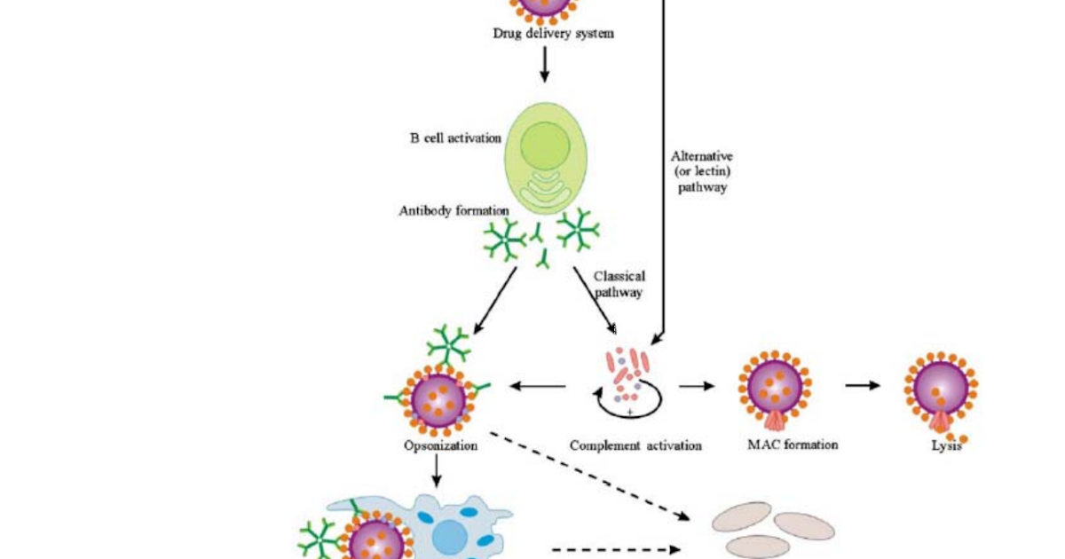 Chimico nato: Liposomi: direzionamento passivo
