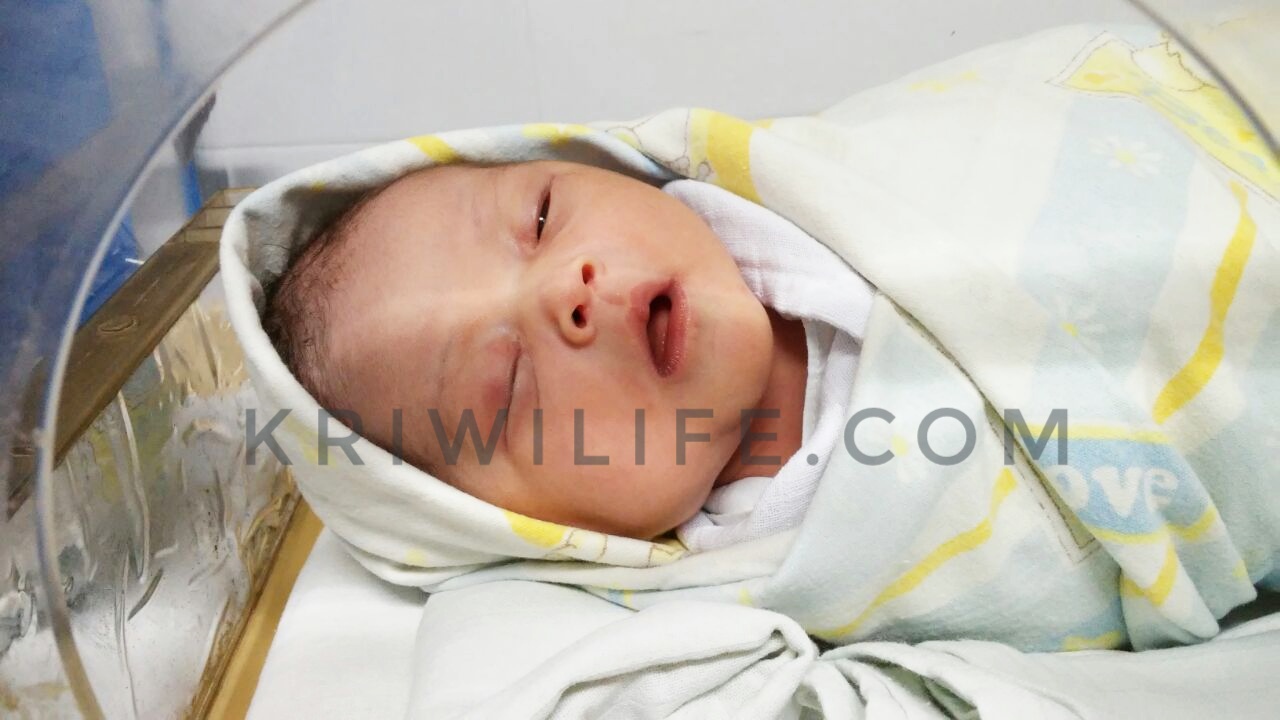 BAB Normal Pada Bayi - Kriwilife