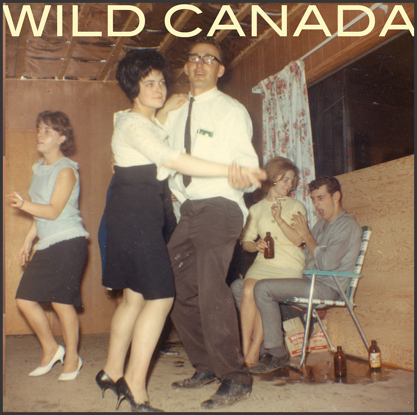 Dusty Psychic Hut: Wild Canada - Sixties Garage From The Great White North