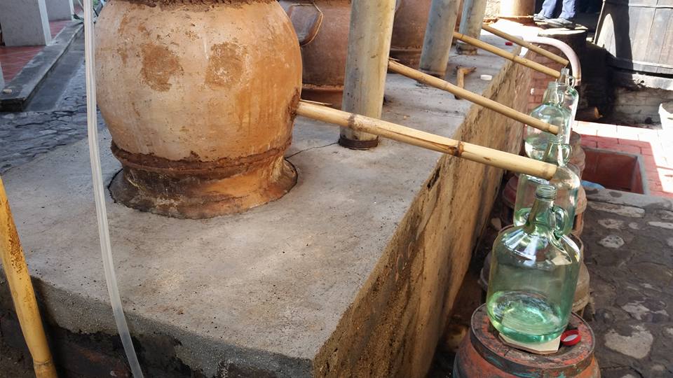 Mezcal distillery tour in Oaxaca