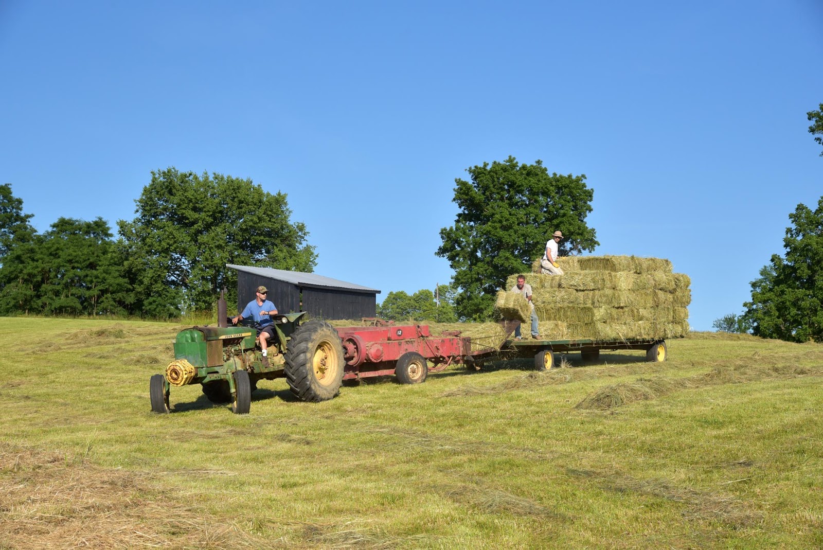 Punkin's Patch: Making Hay While The Sun Shines