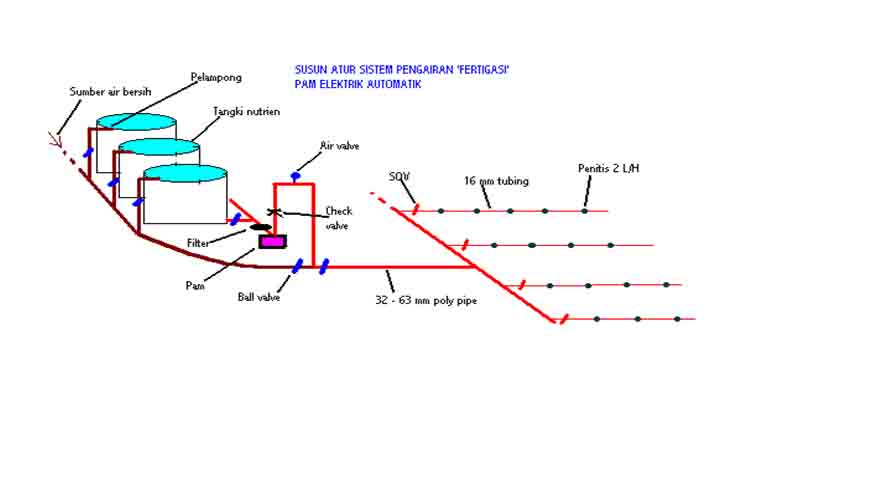 Agropreneur Muda Tumpat: Sistem Pengairan Fertigasi