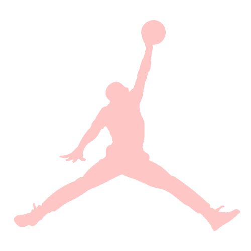 History of All Logos: All Air Jordan Logos