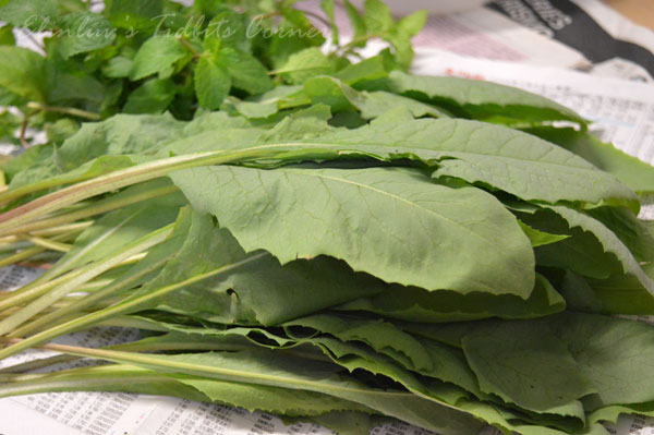 Elinluv's Tidbits Corner: Homegrown Mint And Taiwan 'Yau Mak' - Healthy ...