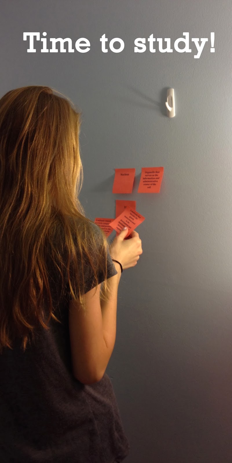 Craft Guide: Study Tip: Print on Post it Notes