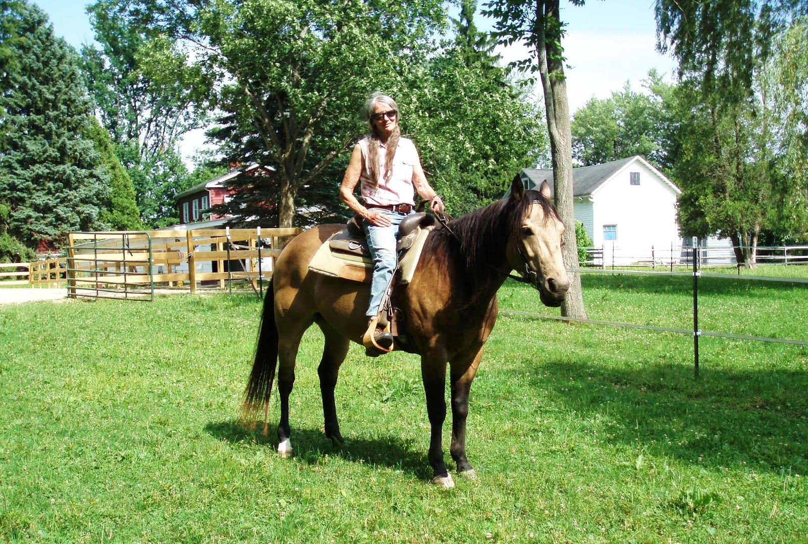 Once Upon a Time in the Vest: V 6 N. 58 Grace Butcher, One of America's ...