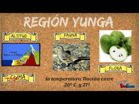 EDUCACIÓN PRIMARIA: YUNGA