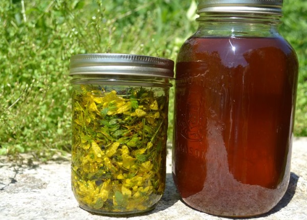 Kako Liječiti: Priprema kantarionovog ulja - Recept