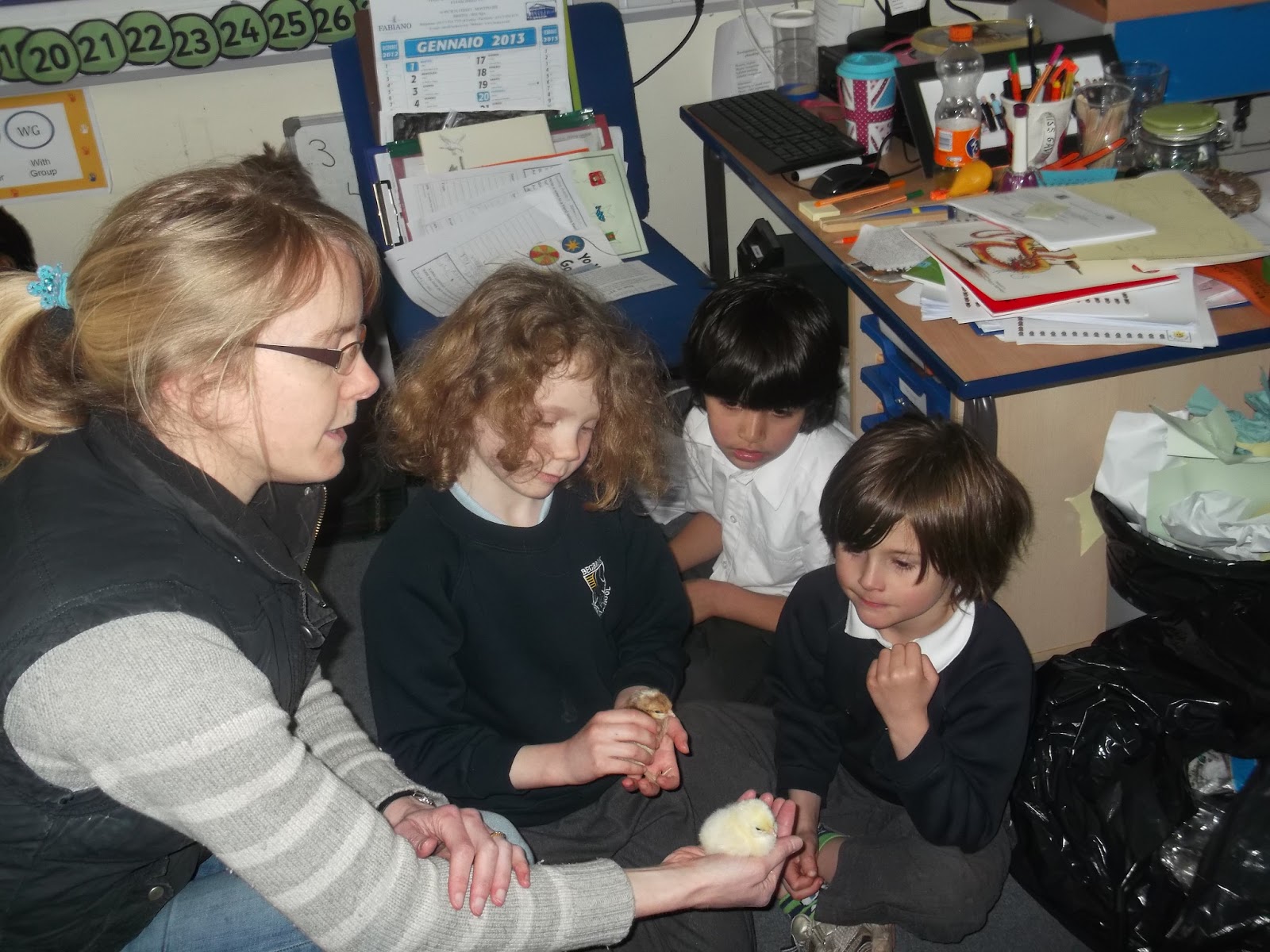 Begbrook Primary School Year 1: May 2013