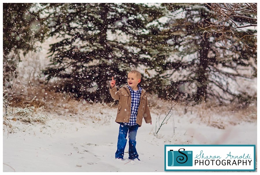 OLD BLOG, NEW BLOG HERE: http://www.sharonarnoldi.com/blog : Highlands ...