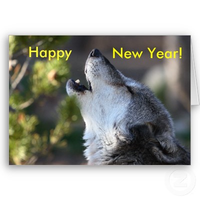 Uncle Macs Garden Shed: HAPPY NEW YEAR!