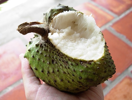 MYEXPERTSHUB AGRO CONSULTANCY LTD: CUSTARD APPLE (MATOMOKO); THE 1,000 ...