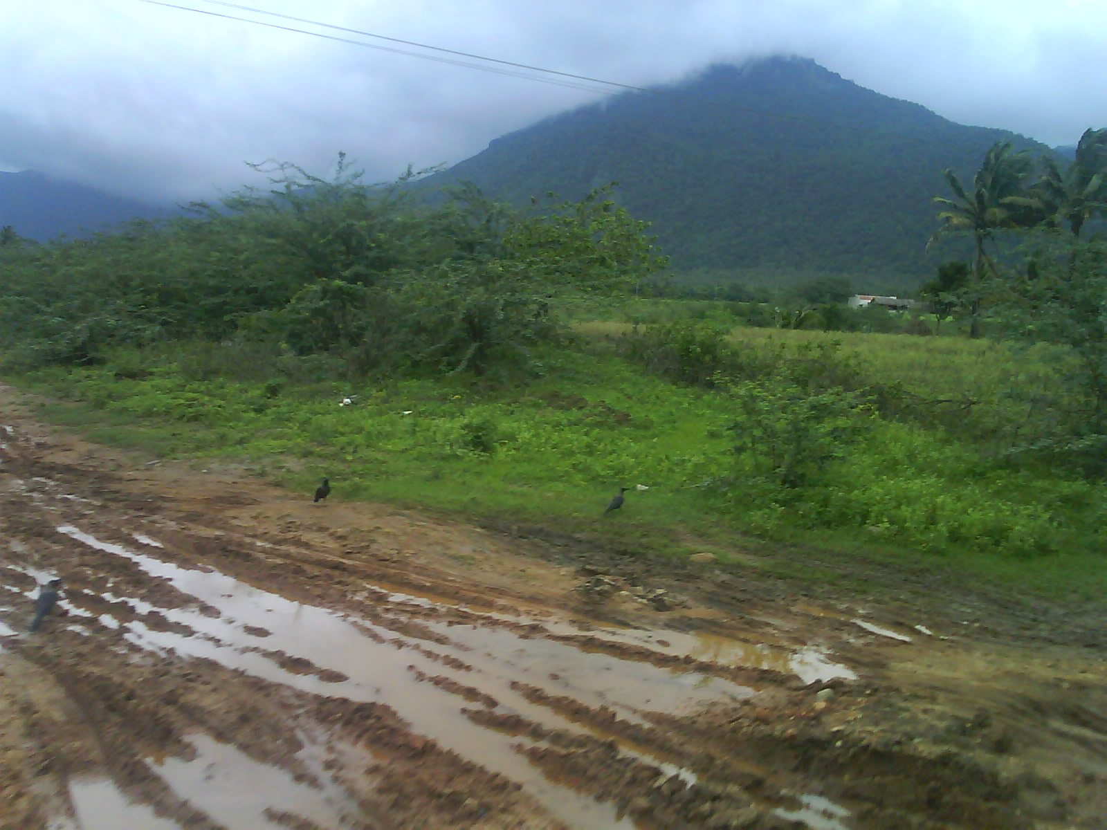 Serendipity Uploaded: Velliangiri Hills – Coimbatore…
