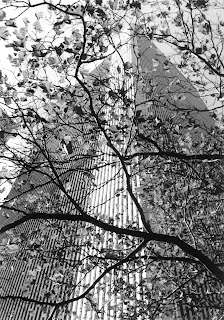 Through the Oculus: In Memoriam