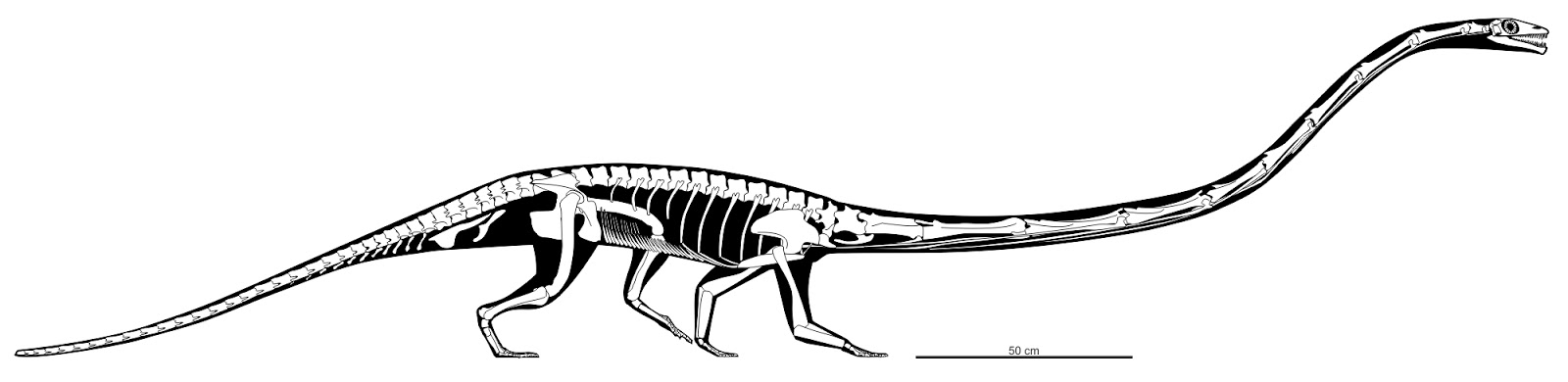 Mark Witton.com Blog: The lifestyle of Tanystropheus, part 1: was that ...