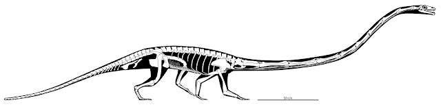 Mark P. Witton's Blog: The lifestyle of Tanystropheus, part 1: was that ...