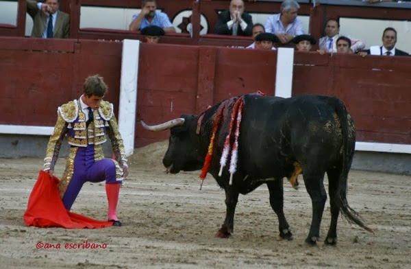 ana escribano fotos: LAS VENTAS, 22-09-2013. FRAN GÓMEZ, ANDRÉS JIMÉNEZ ...