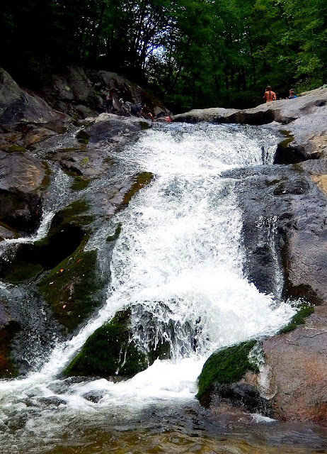 Hiking with a Fat Bald White Guy: Wilson Creek - Gragg Prong Falls