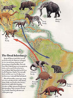 Life is short, but snakes are long: Tibetan Hot-spring Snakes