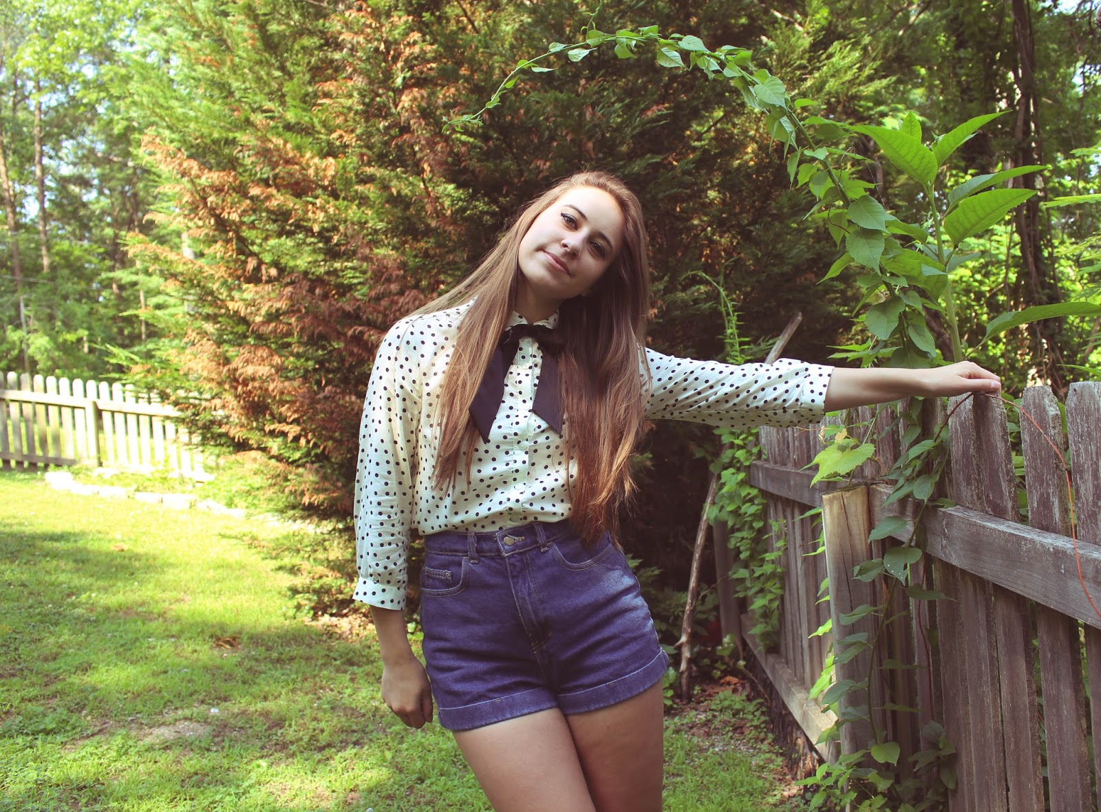 Tennessee Rose: Fancy