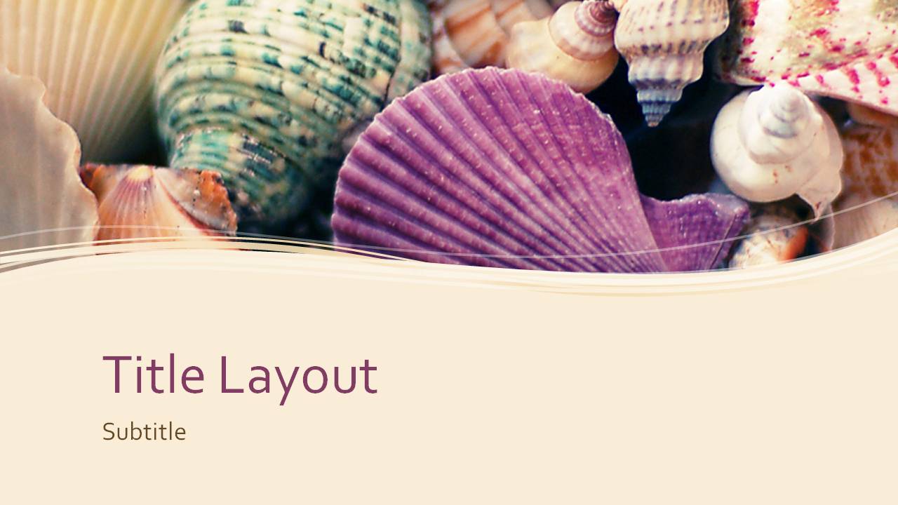Shell PowerPoint template 1