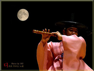 toro y loco: Daegeum