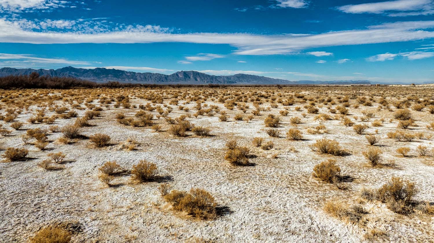 cruisingat60: Ash Meadows